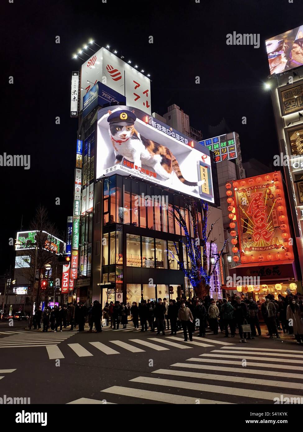 The 3D cat advertisement in Shinjuku, Tokyo, Japan Stock Photo - Alamy