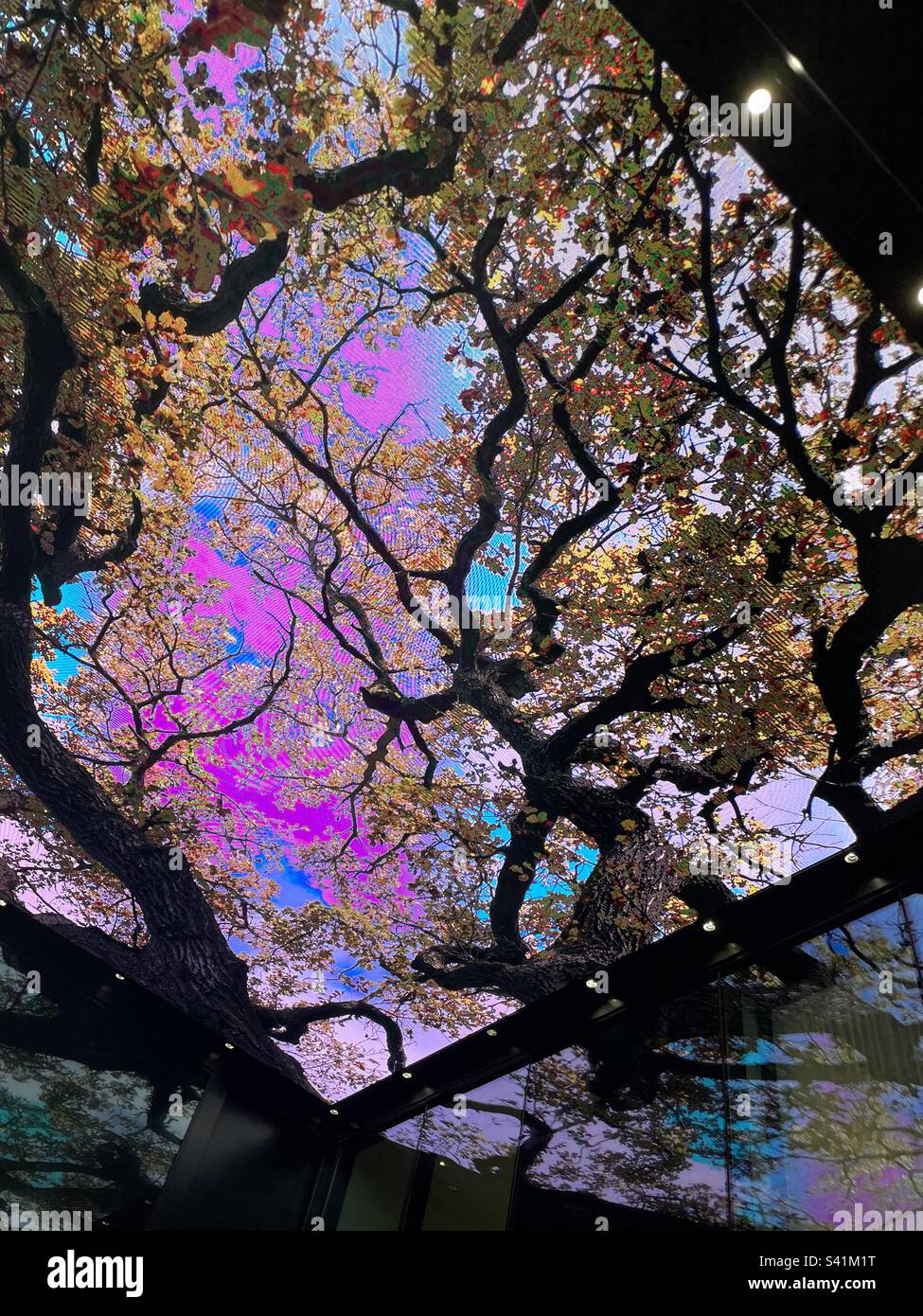 Ceiling screen hi-res stock photography and images - Alamy