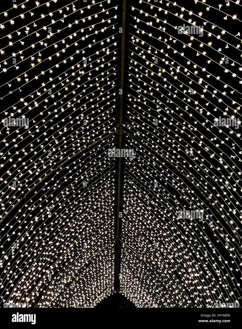 Twinkling fairy lights Stock Photo - Alamy