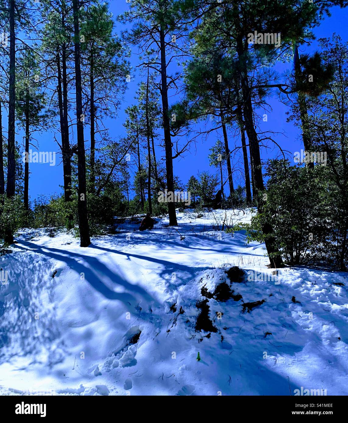 Crown of snow hi-res stock photography and images - Alamy