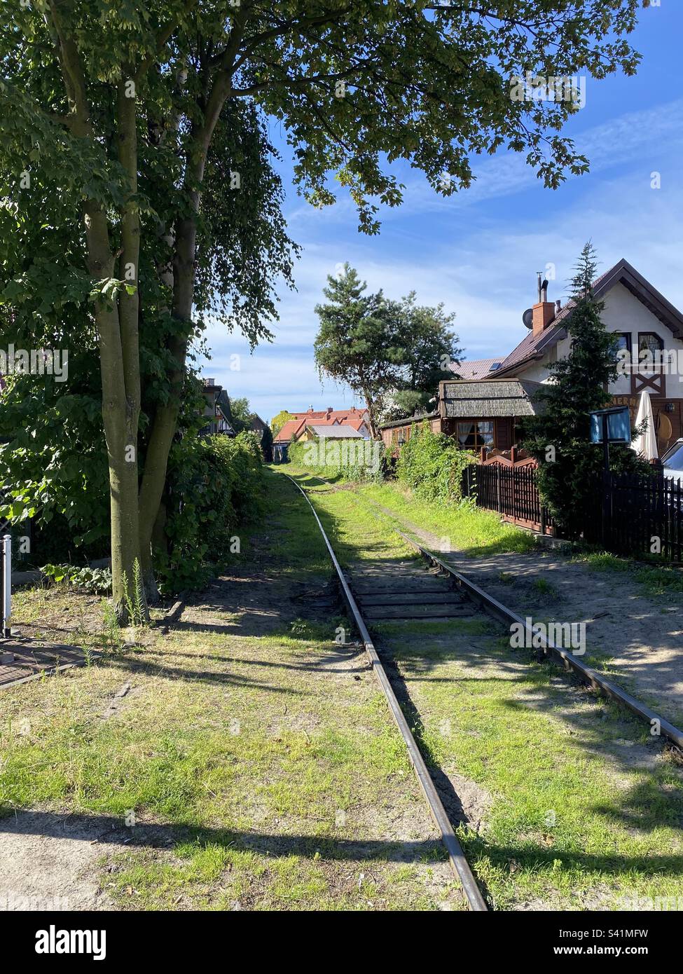 Tracks and trees hi-res stock photography and images - Alamy