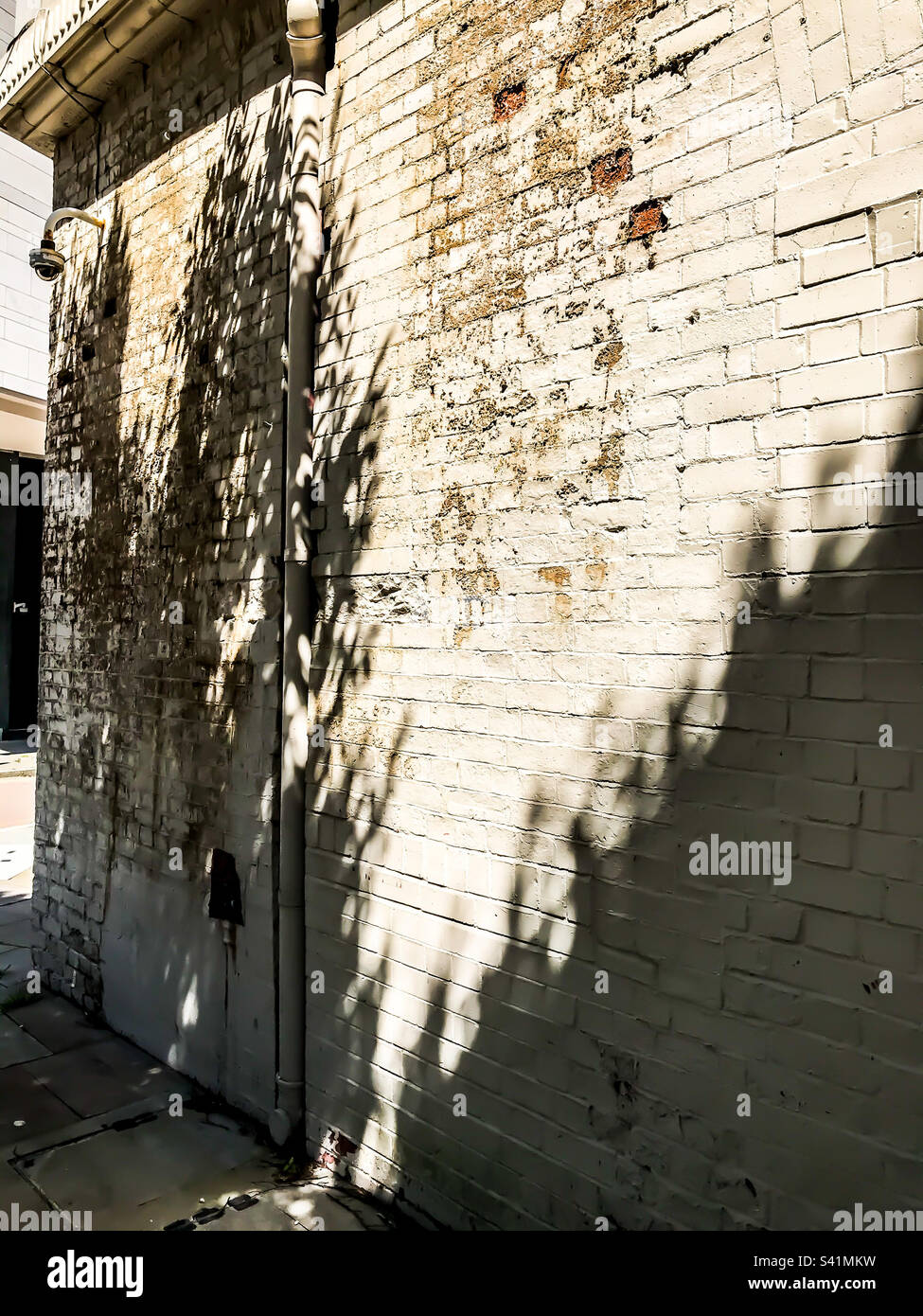 Tree and shadows hi-res stock photography and images - Alamy