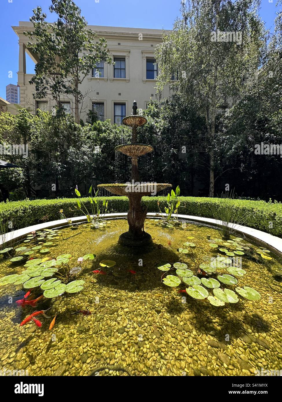 Lily fountain hi-res stock photography and images - Alamy