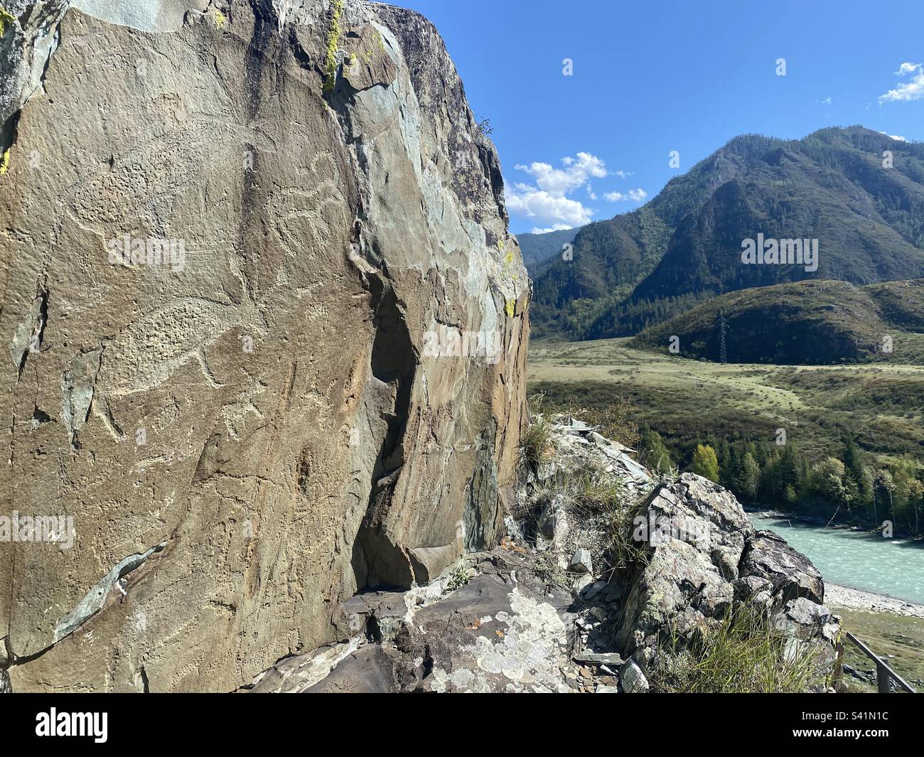 Rock carvings of animals of ancient man on a rock in the Altai ...