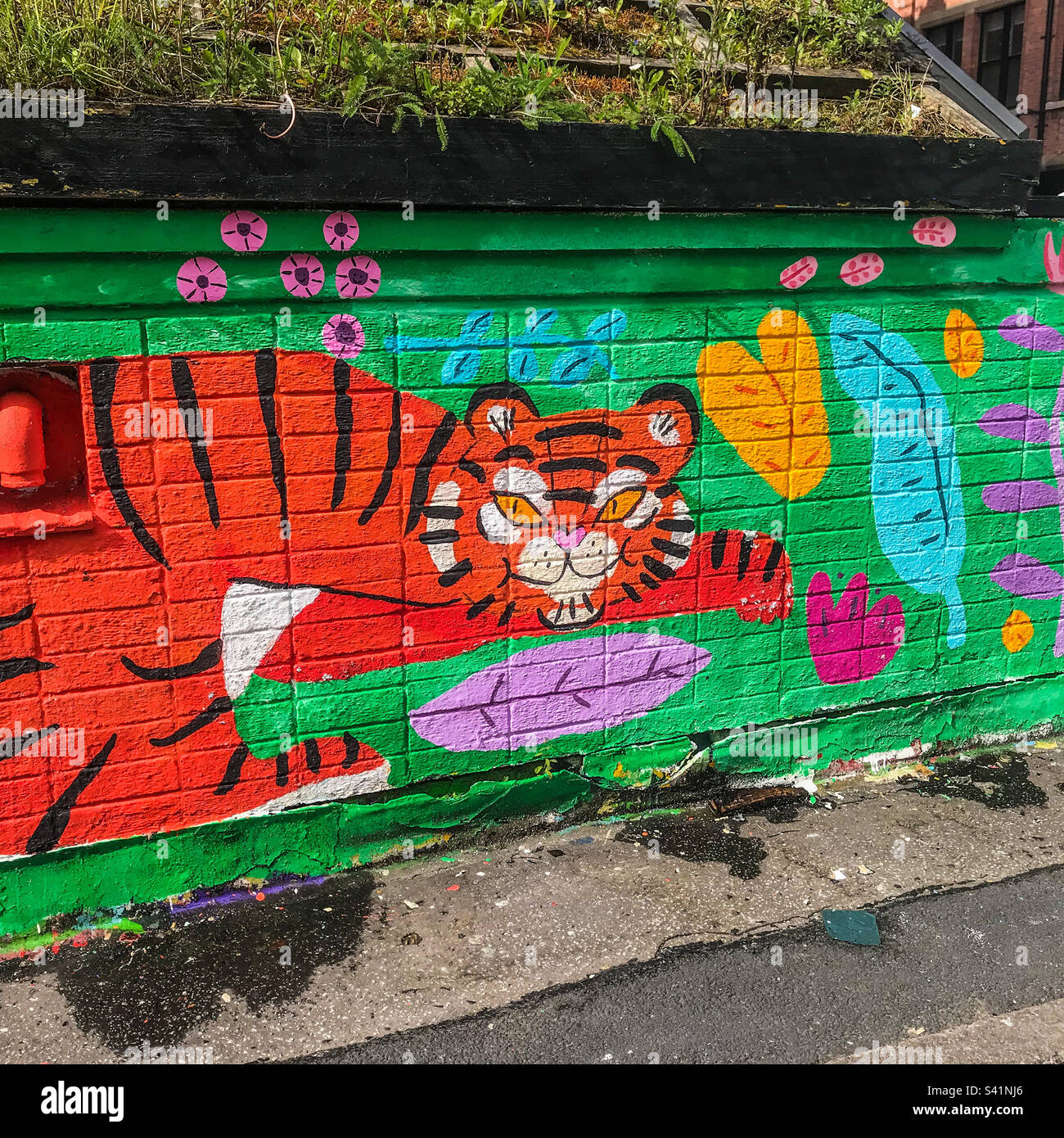 Street art tiger hi-res stock photography and images - Alamy
