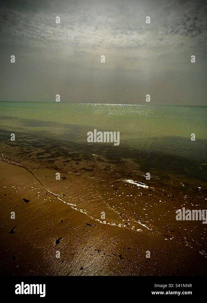 Atlantic rays hi-res stock photography and images - Alamy