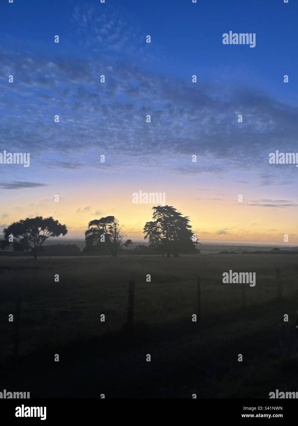 sunset shot while bushwalking. so magical and ethereal Stock Photo - Alamy