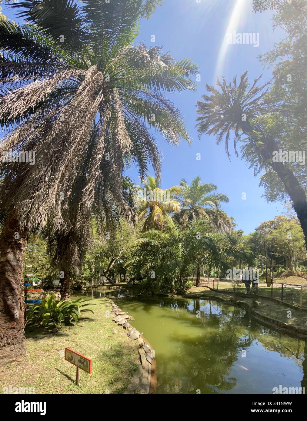 Plantas y fauna hi-res stock photography and images - Alamy