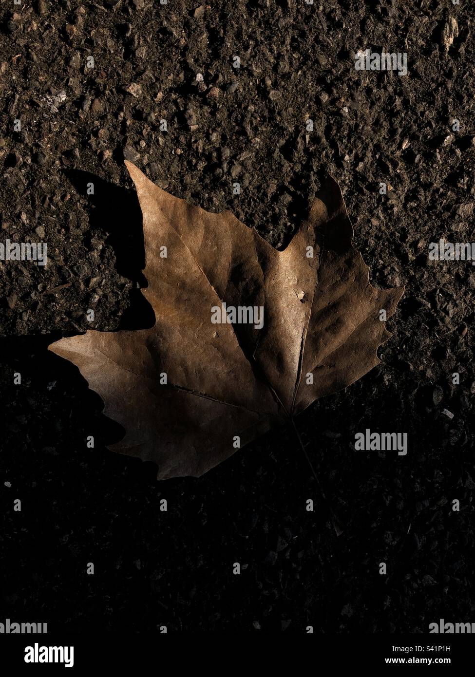 Contrast contrast hi-res stock photography and images - Alamy