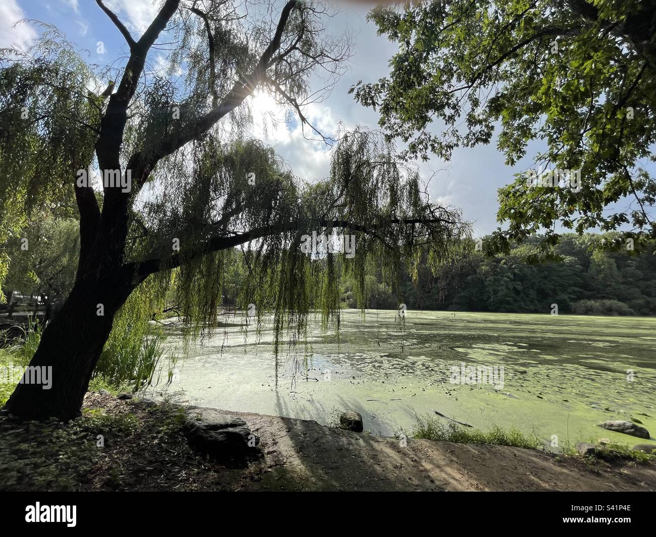 Water scene hi-res stock photography and images - Alamy