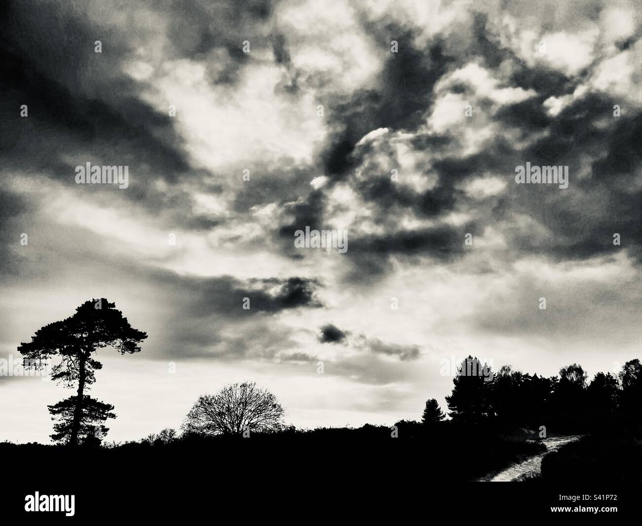 Sutton Heath Suffolk England Stock Photo - Alamy