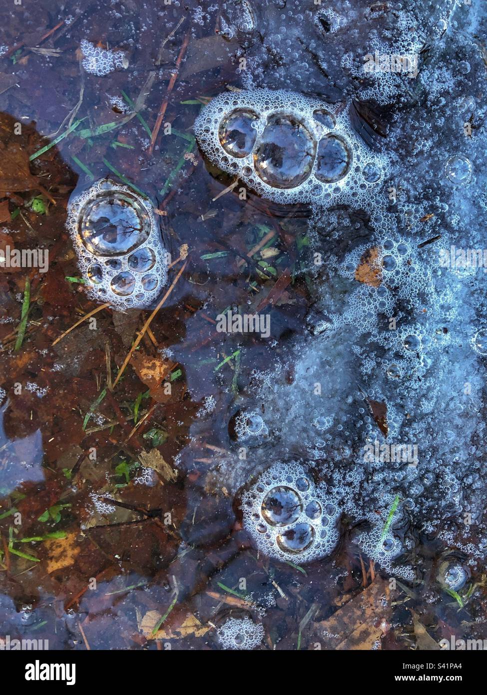 Bursting bubbles in a puddle of melting snow on the ground Stock Photo ...