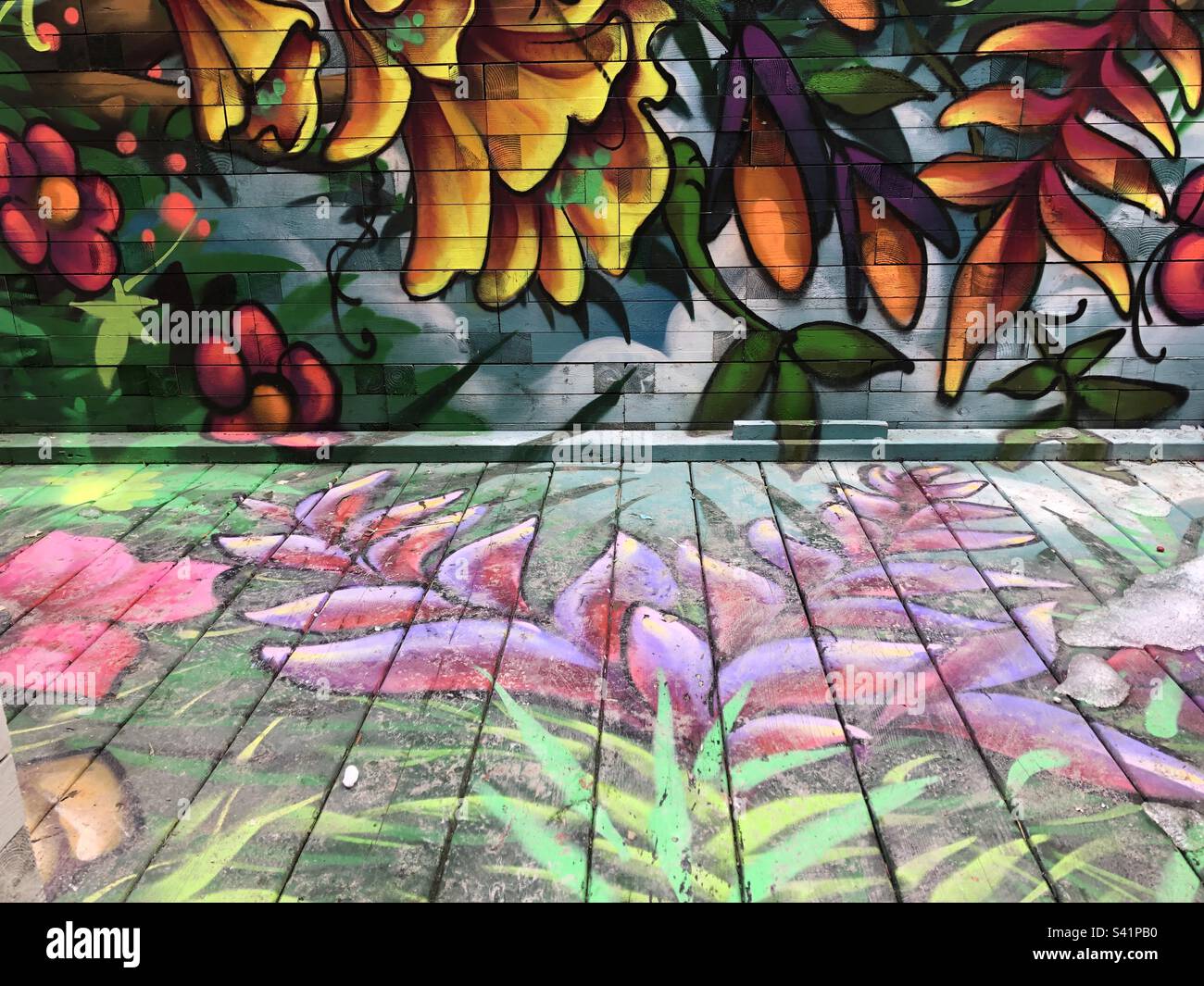 Colourful nature themed street art in Toronto, Canada Stock Photo - Alamy