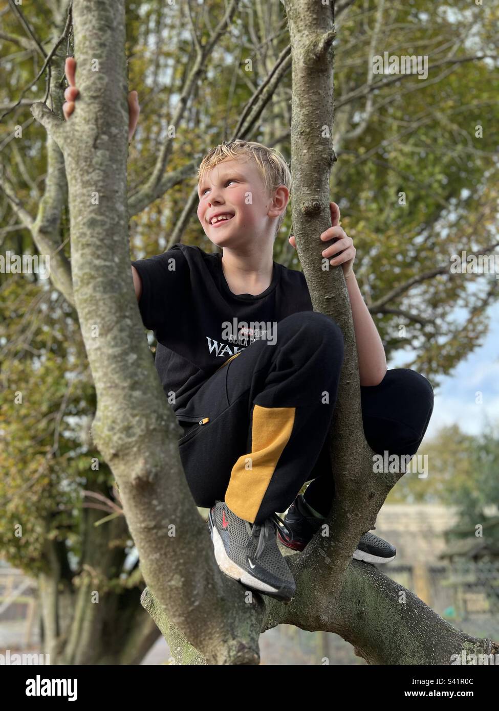 Boy in a tree hi-res stock photography and images - Alamy