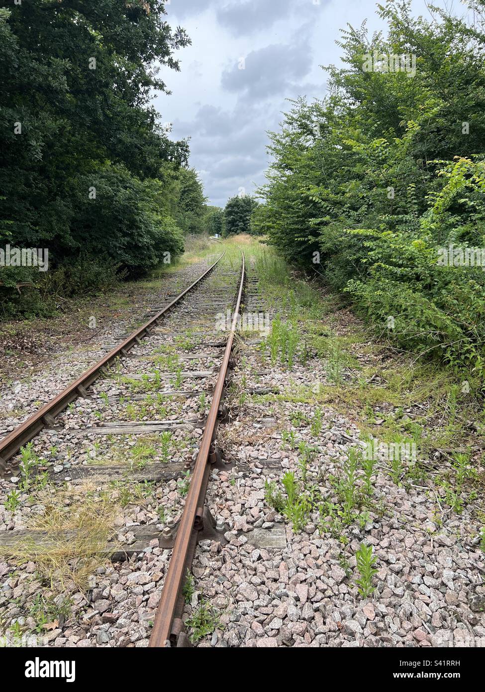Overgrown railway hi-res stock photography and images - Alamy