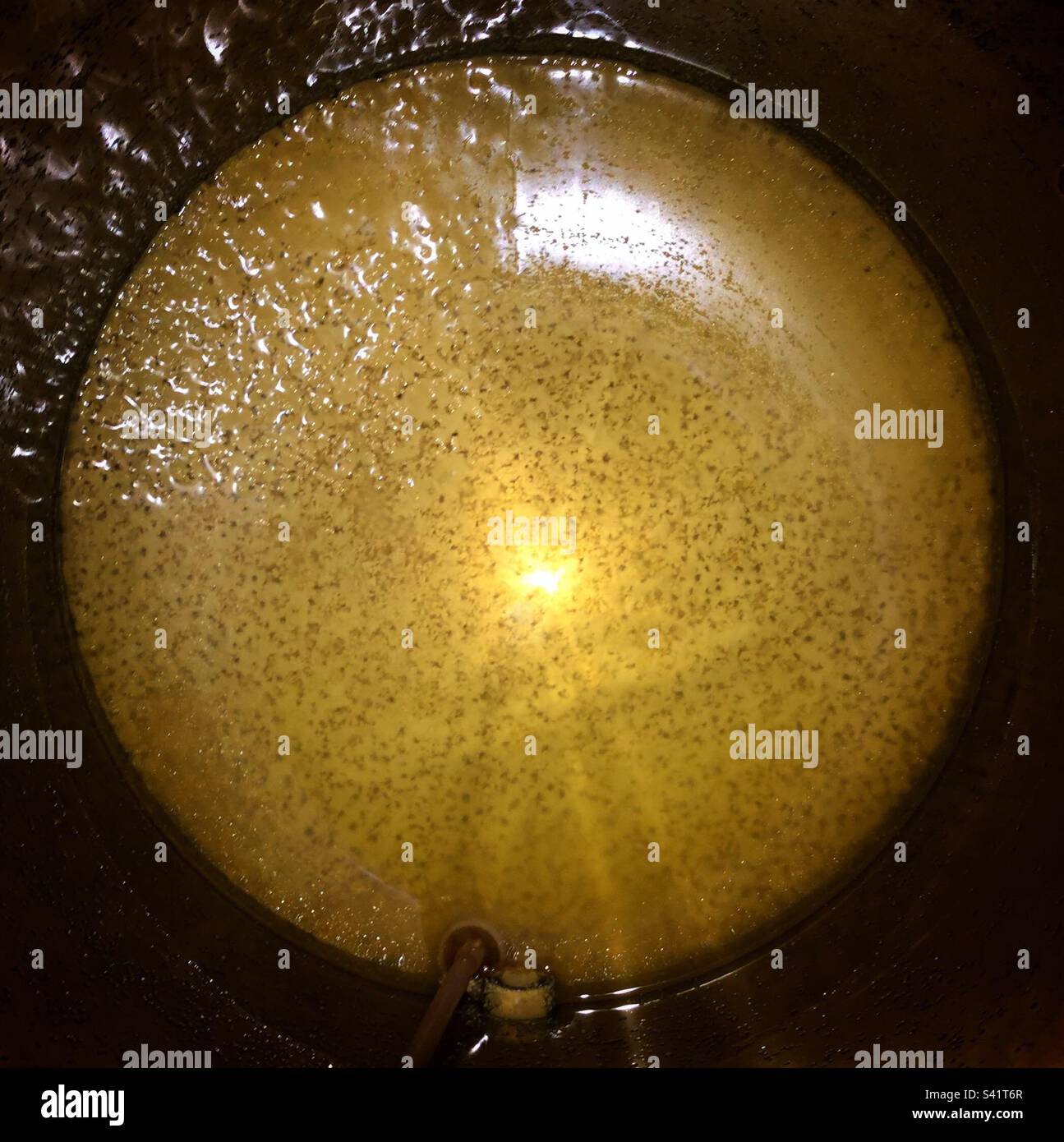 White wine lees (sediment) in the vat, Catalonia, Spain Stock Photo - Alamy