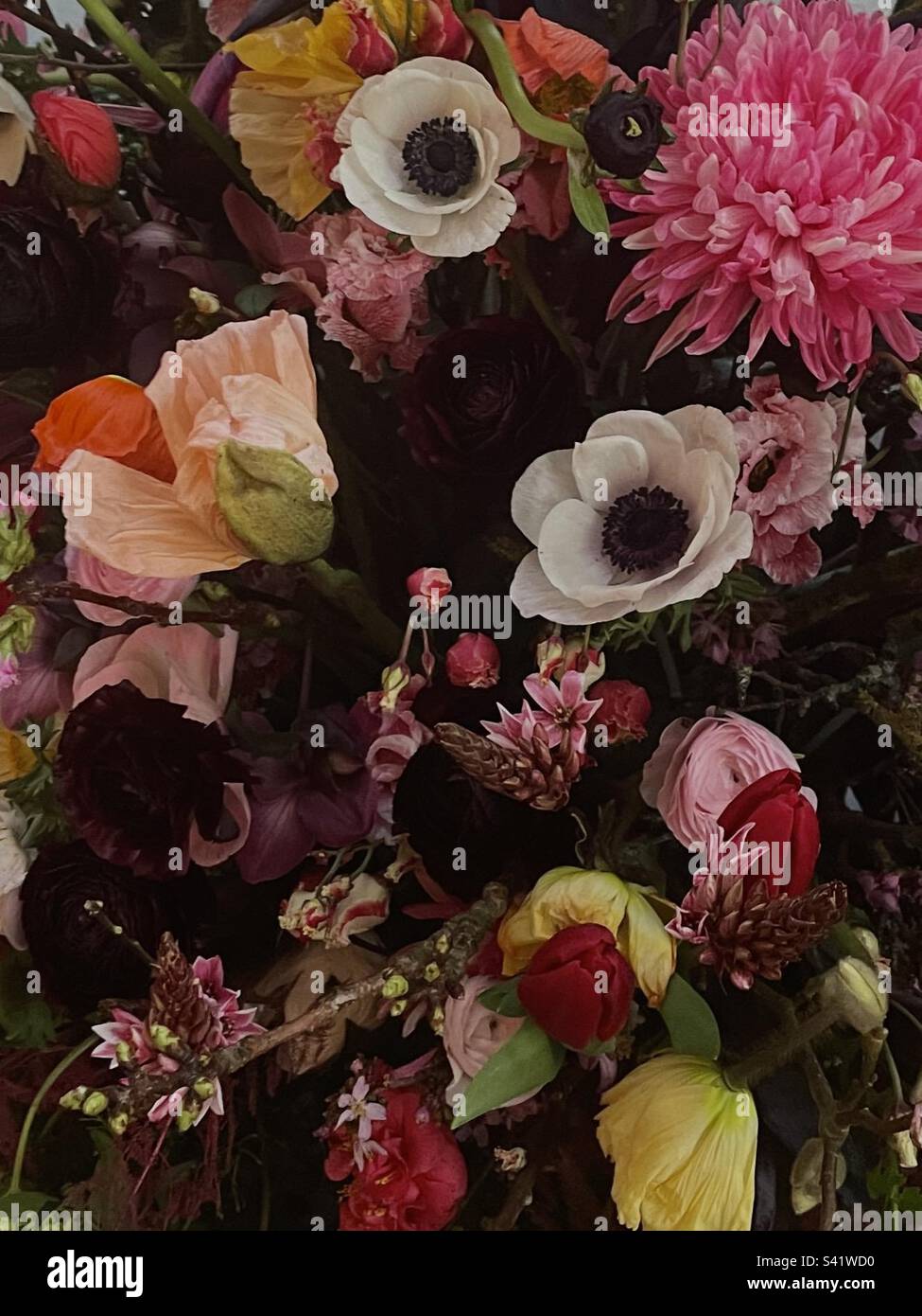 Mix of flowers Stock Photo - Alamy