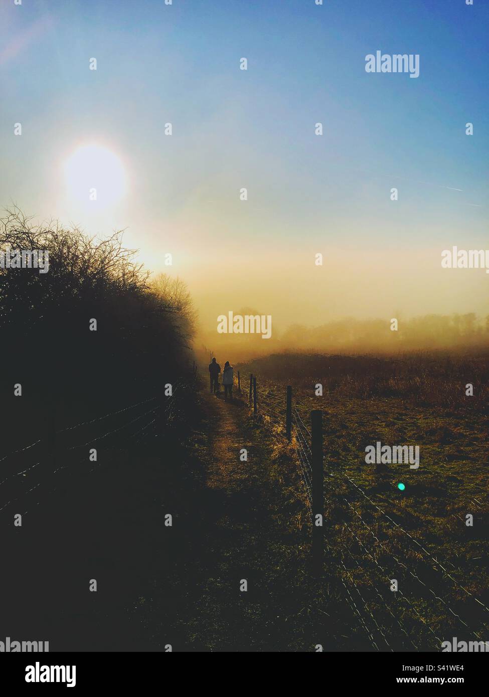 Sunlit path hi-res stock photography and images - Alamy