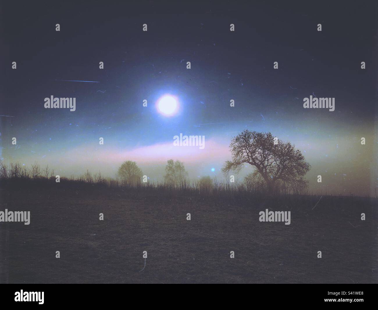 Tree lined field with the sun behind Stock Photo - Alamy