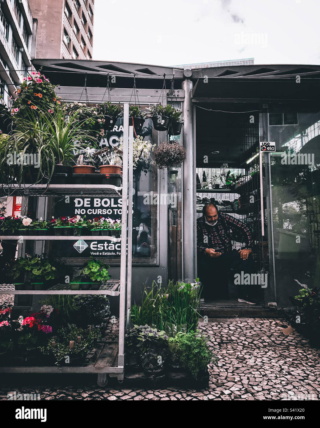 downtown local business of plant and flower in Brazil, at Curitiba - PR ...