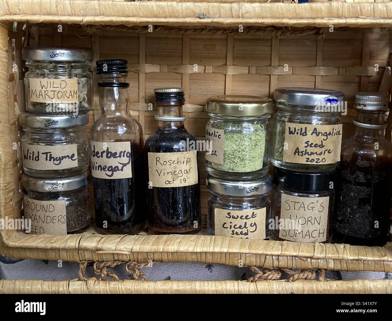 Wild foraging ingredients Stock Photo - Alamy