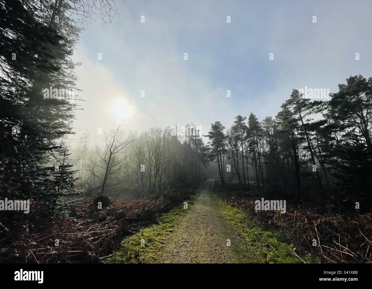 Dirt road track path hi-res stock photography and images - Alamy