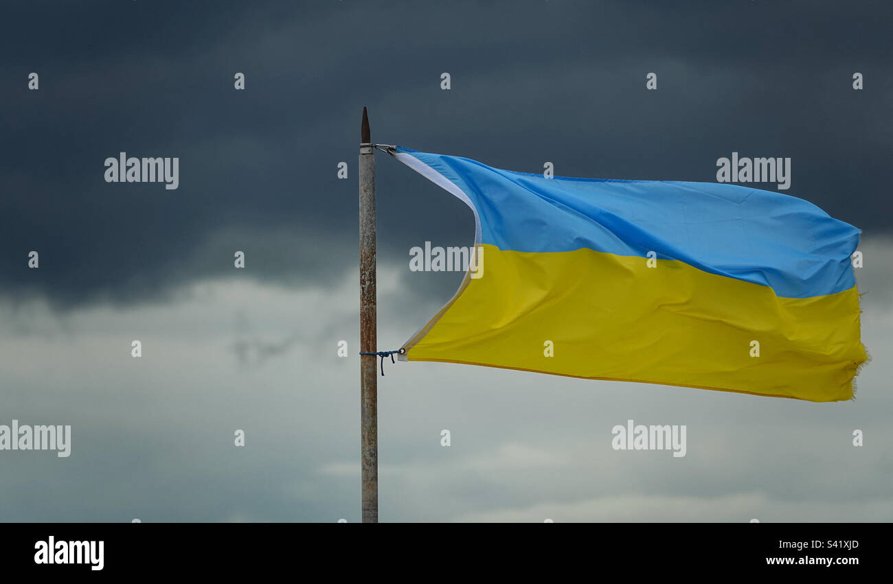 Two tone flag hi-res stock photography and images - Alamy