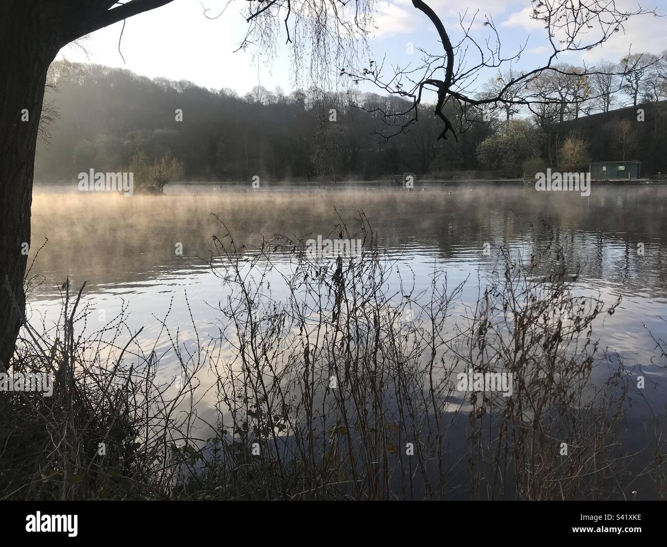 Misty lake at Etherow Stock Photo - Alamy
