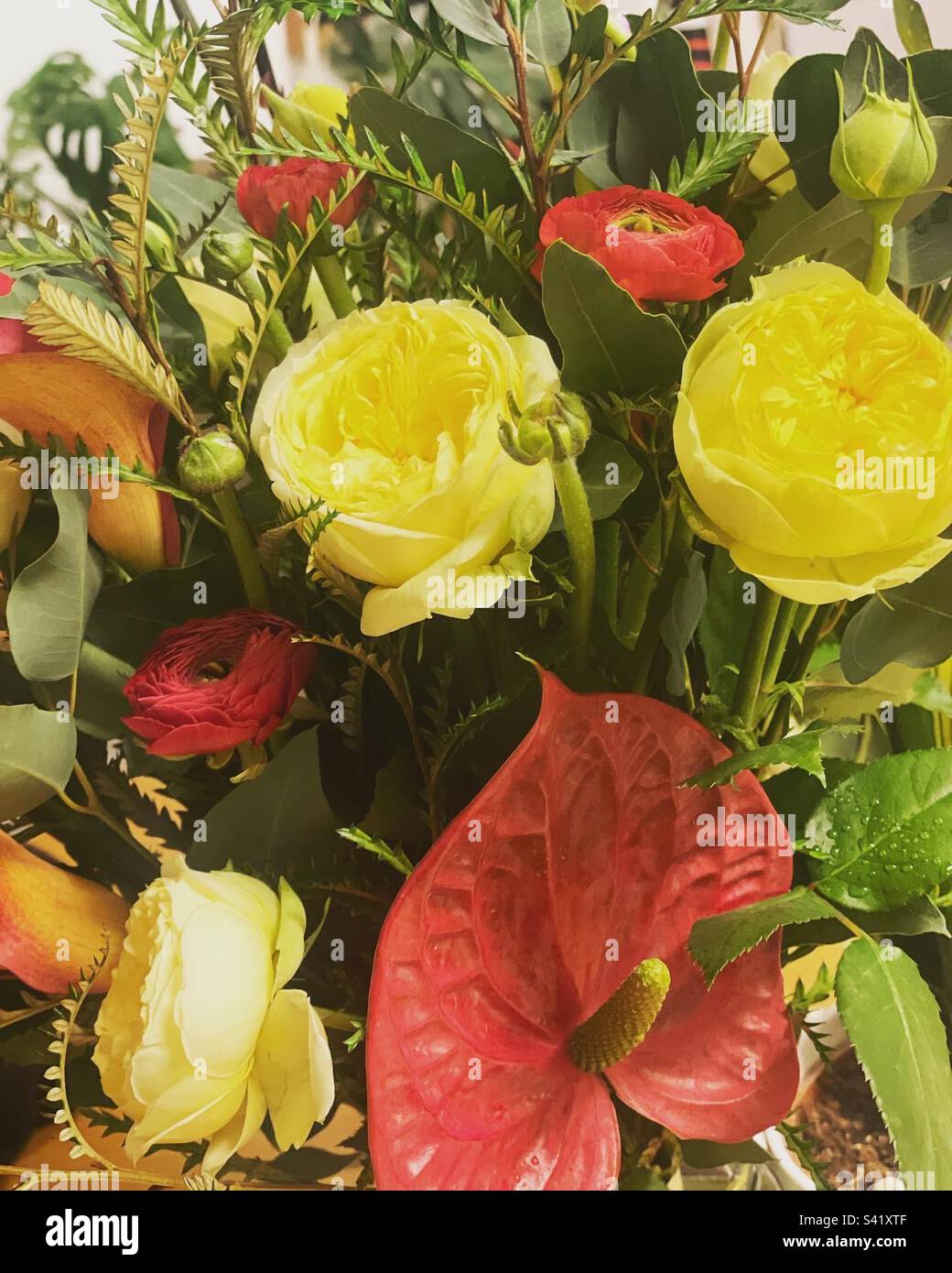 Flowers tops hi-res stock photography and images - Alamy