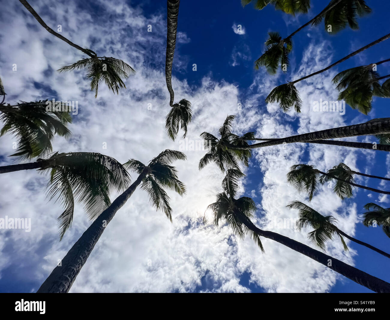 Kona hi hi-res stock photography and images - Alamy