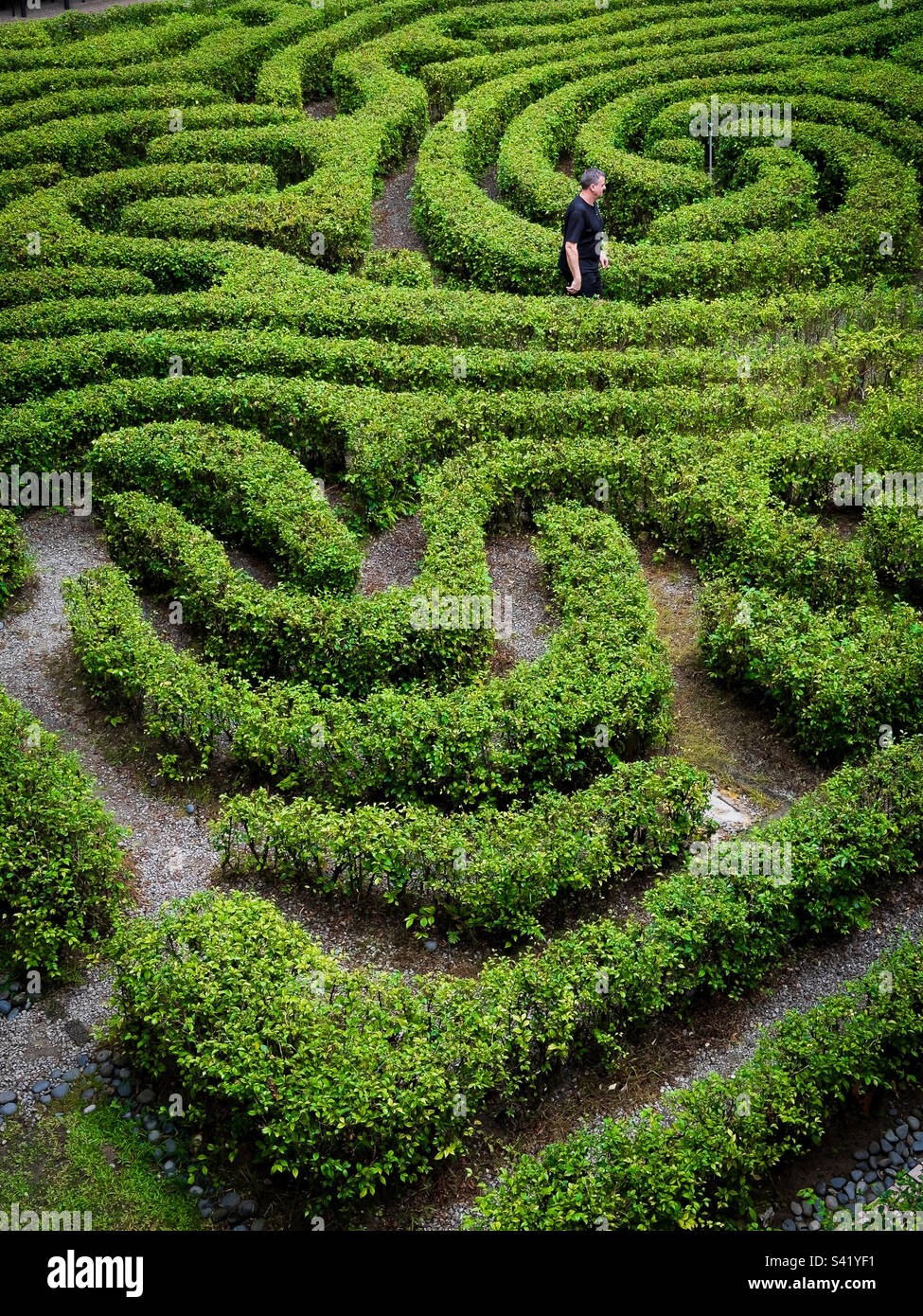 Being Lost In A Maze
