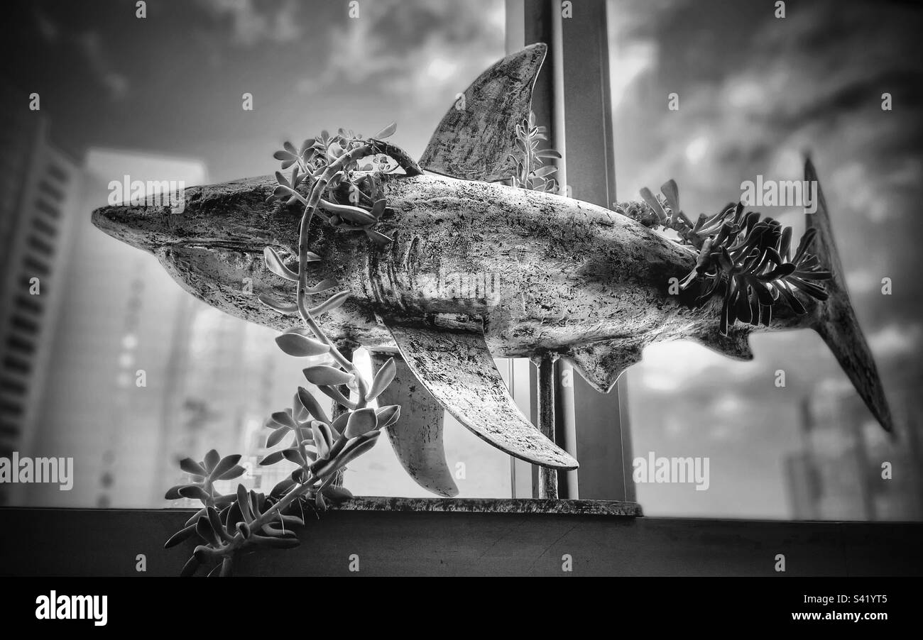 Metal shark hi-res stock photography and images - Alamy