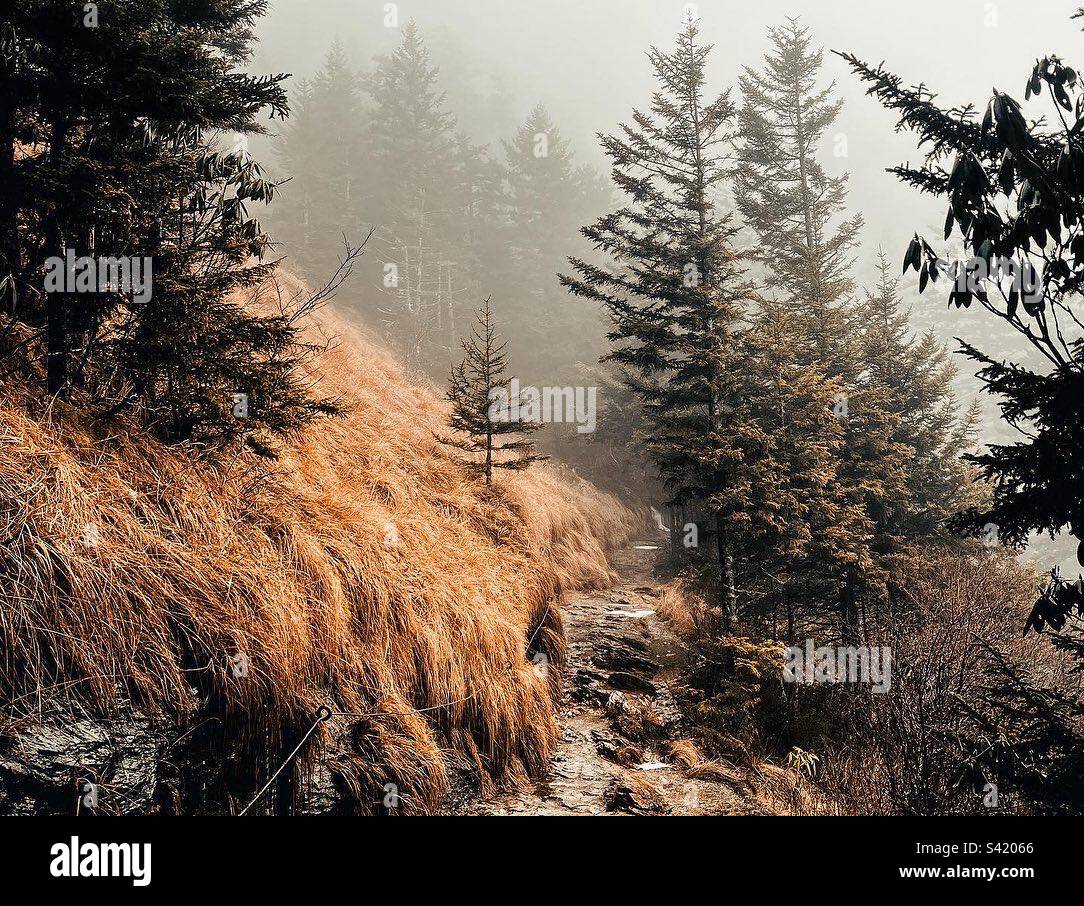 Laconte hi-res stock photography and images - Alamy