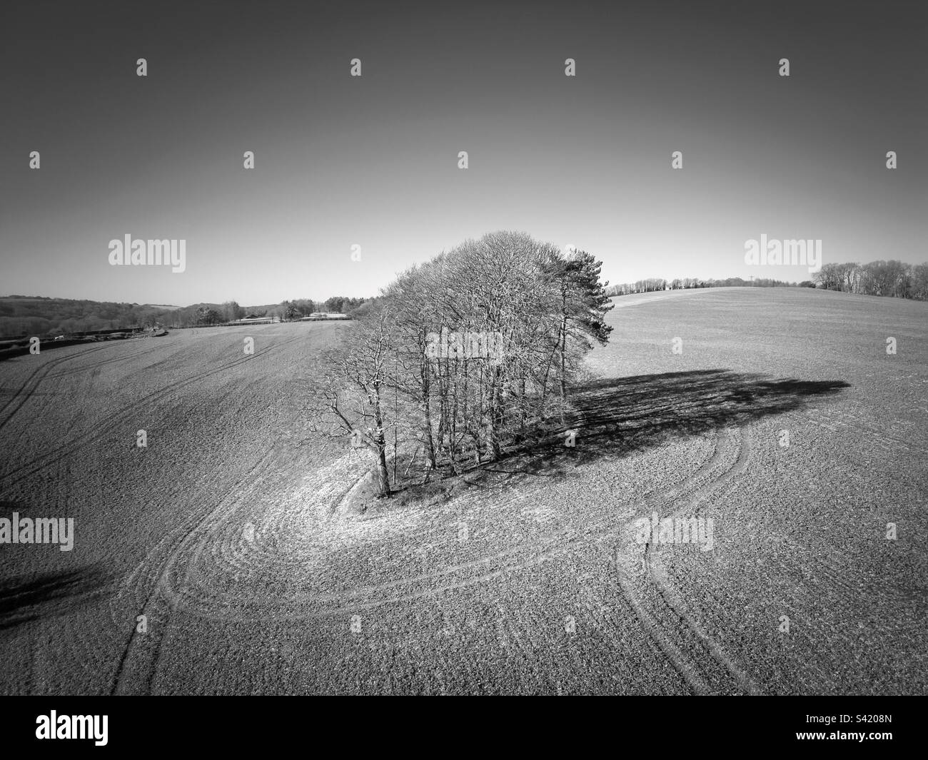 Trees from above. Seven Springs. Gloucestershire Stock Photo - Alamy