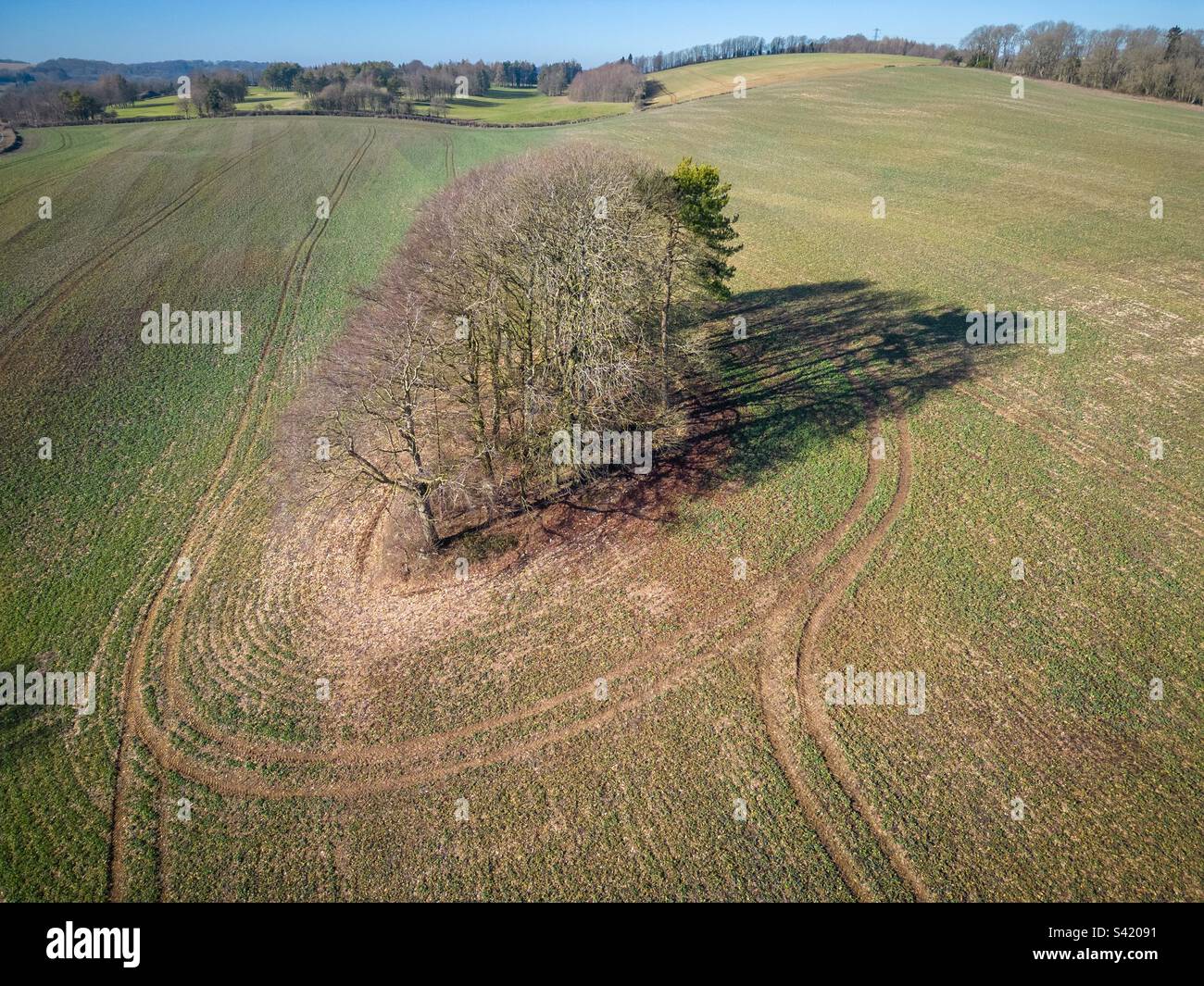 Clumps of trees from above. Seven Springs Stock Photo - Alamy