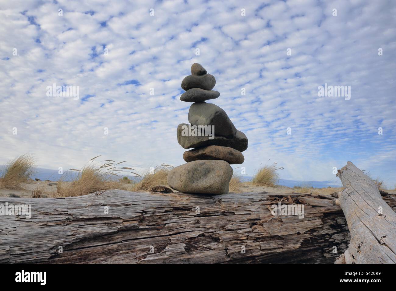 Rocks and log hi-res stock photography and images - Alamy