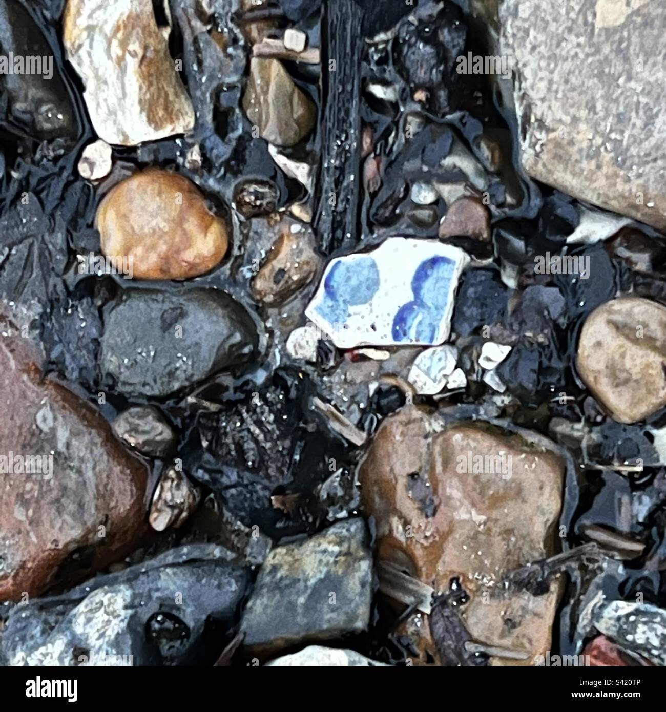 Blue and white Pottery shard found by Mudlark River Thames London Stock ...