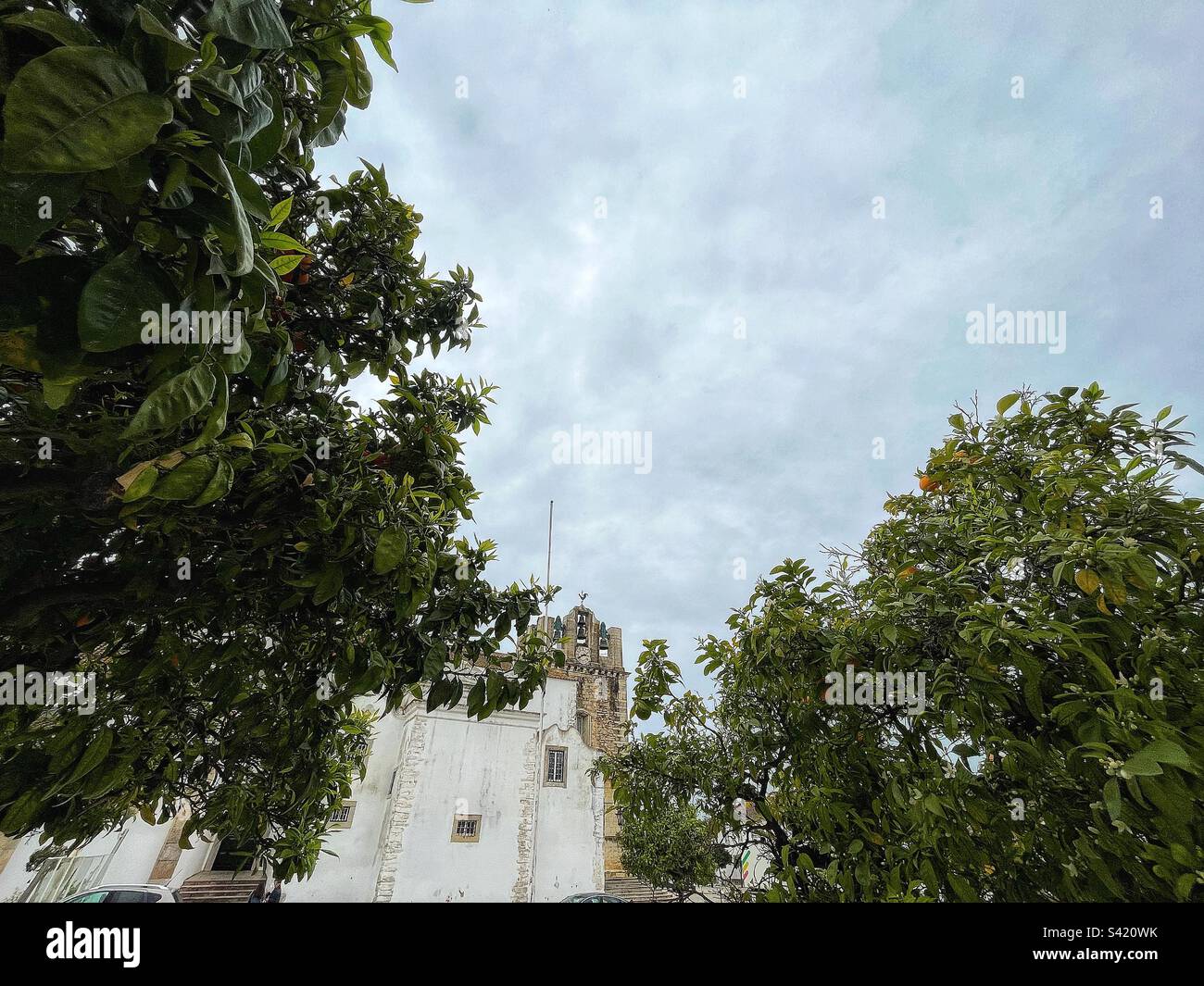 Sé de Faro - the Cathedral of Faro - surrounded by orange trees in the ...