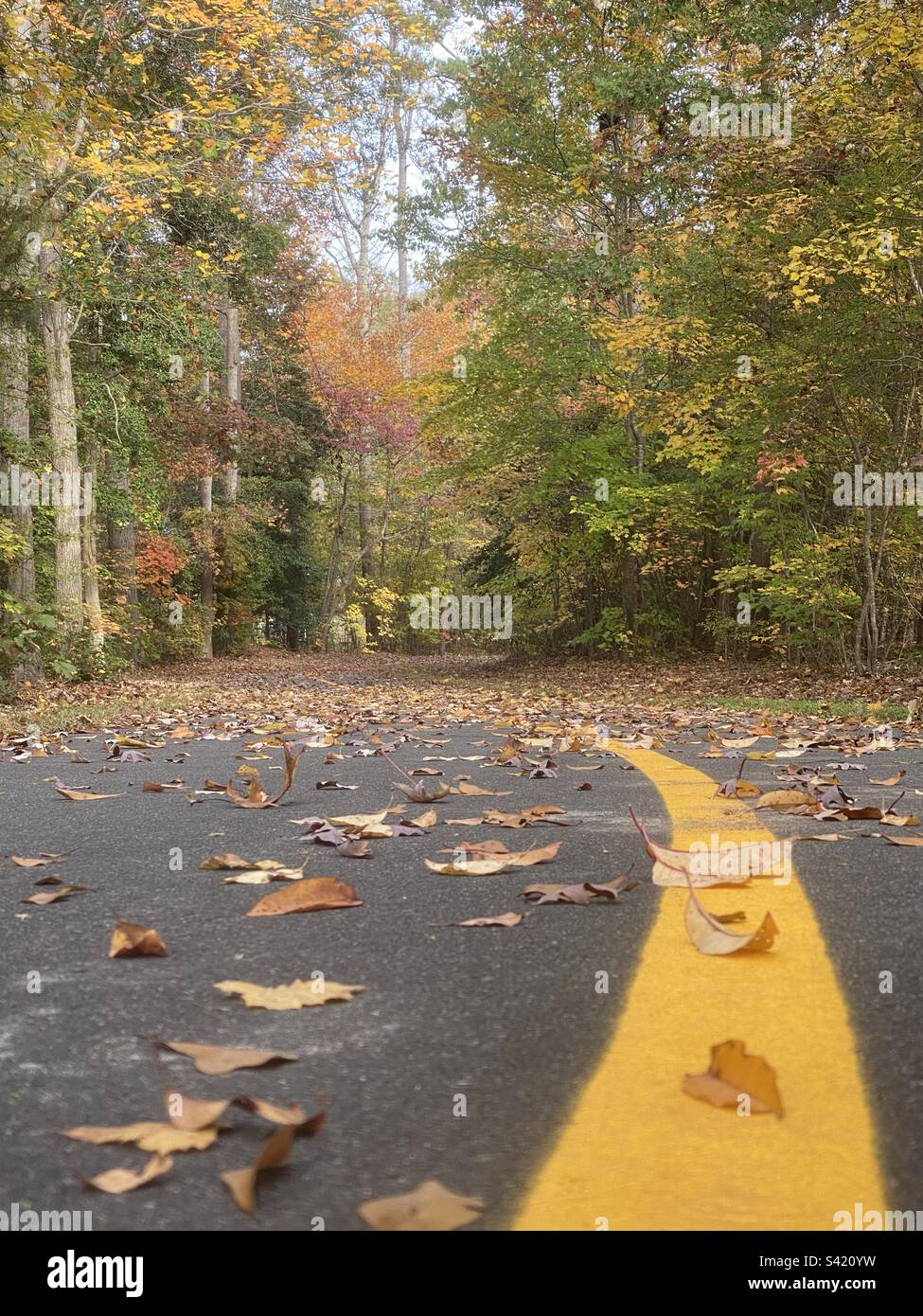 Quiet walk hi-res stock photography and images - Alamy