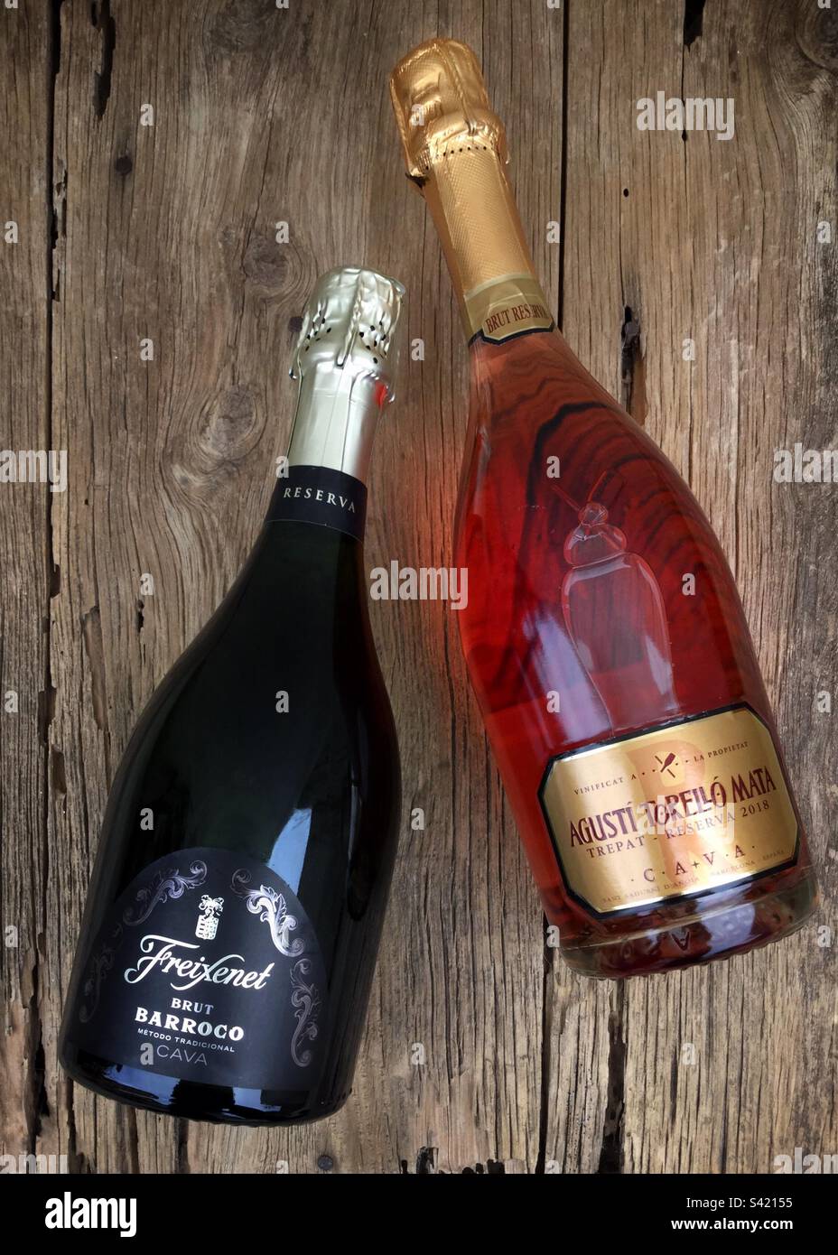 Freixenet and Agustí Torelló Mata Cava, Catalonia, Spain Stock Photo ...