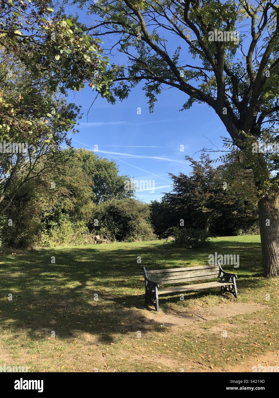 A lonely bench in the middle of nature Stock Photo - Alamy