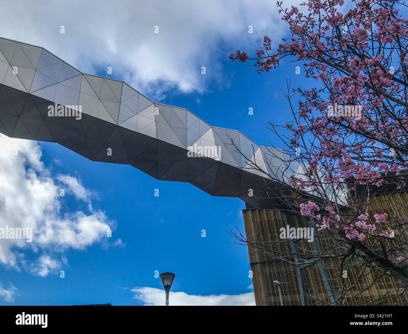 Nhs mri hi-res stock photography and images - Alamy