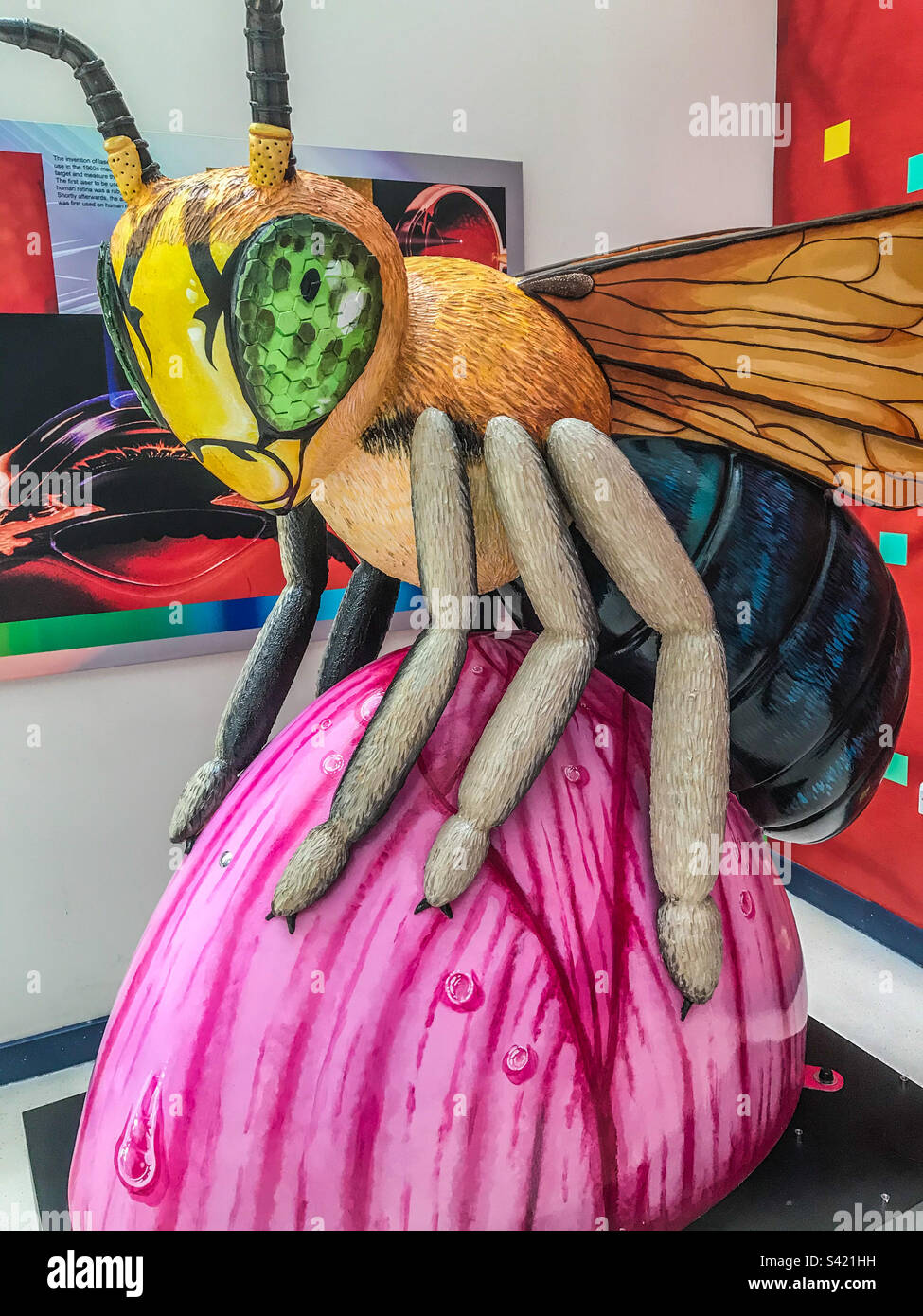 Manchester bee in the Eye Hospital Stock Photo - Alamy