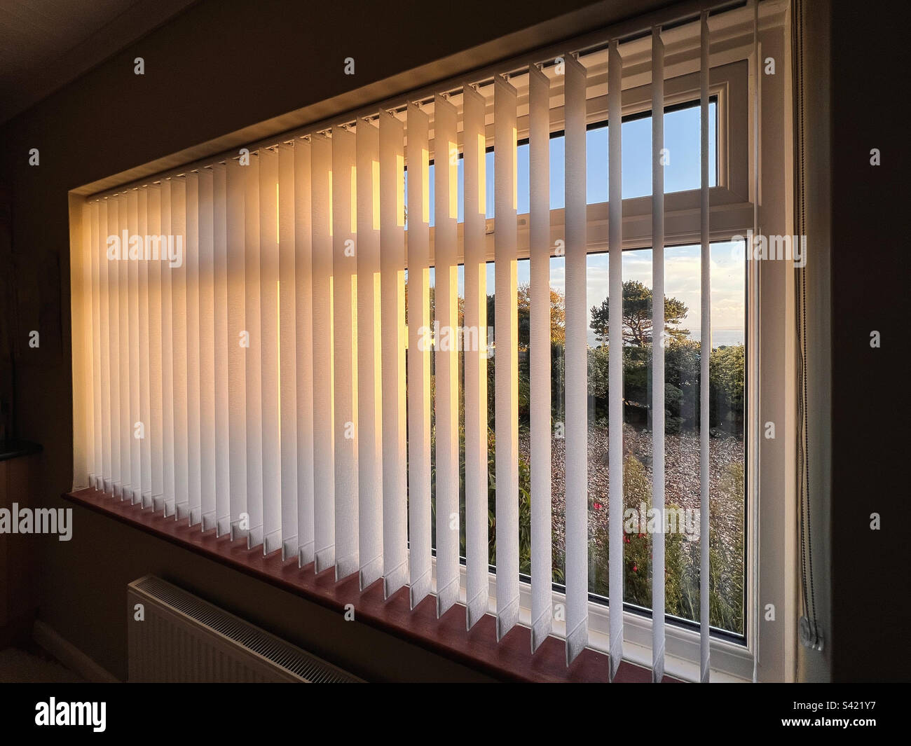 Vertical Blind Slats For Windows at Alice Manning blog