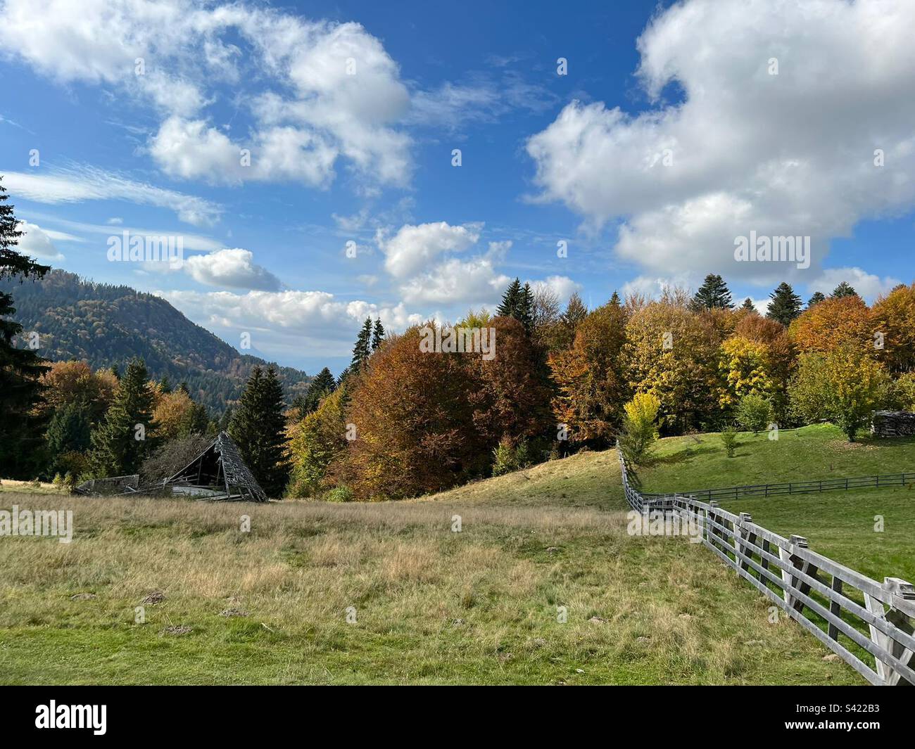 Autumn in Romania is something really special. All the leaves are ...