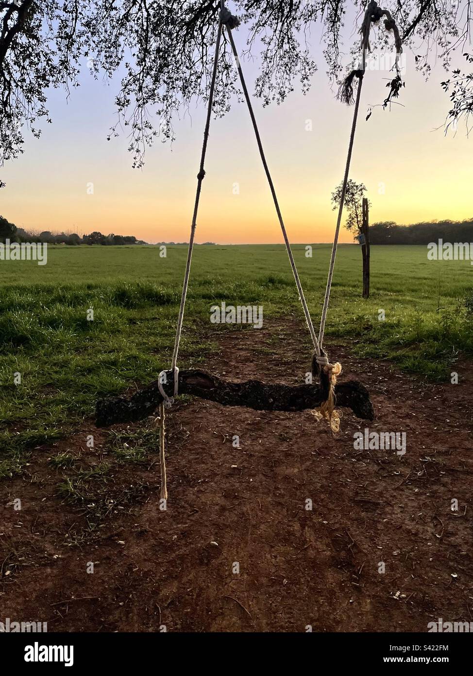 Swing on tree hi-res stock photography and images - Alamy