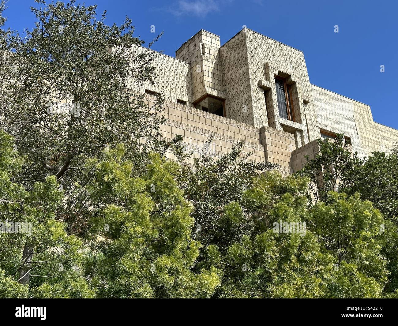 Ennis House Buffy