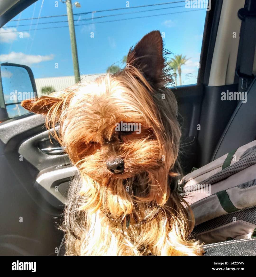 Mr humphreys hi-res stock photography and images - Alamy