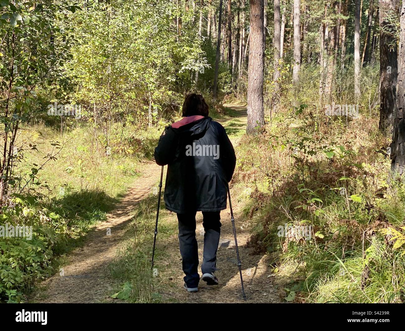 An elderly woman walks with hiking sticks for Scandinavian architecture ...