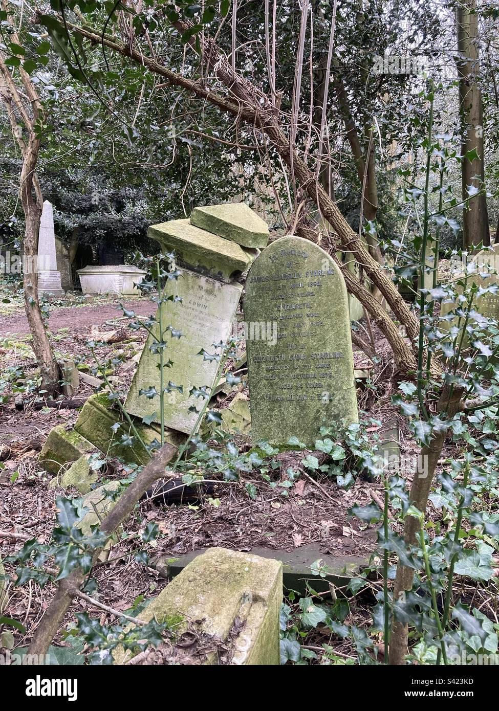 Ancient gravestones in a London cemetery Stock Photo - Alamy